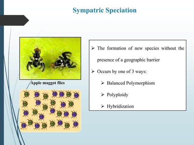 Speciation & types of evolution | PPT