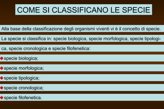 Specie | PPT