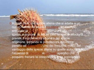 Le specie aliene | PPTX