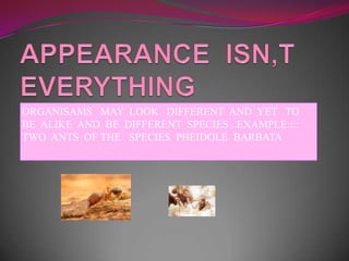 Species | PPTX
