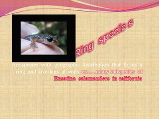 Species | PPTX
