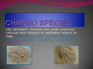 Species | PPT