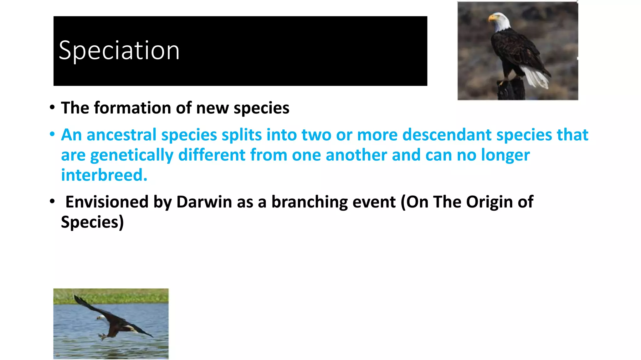 SPECIES-SPECIATION.pptx