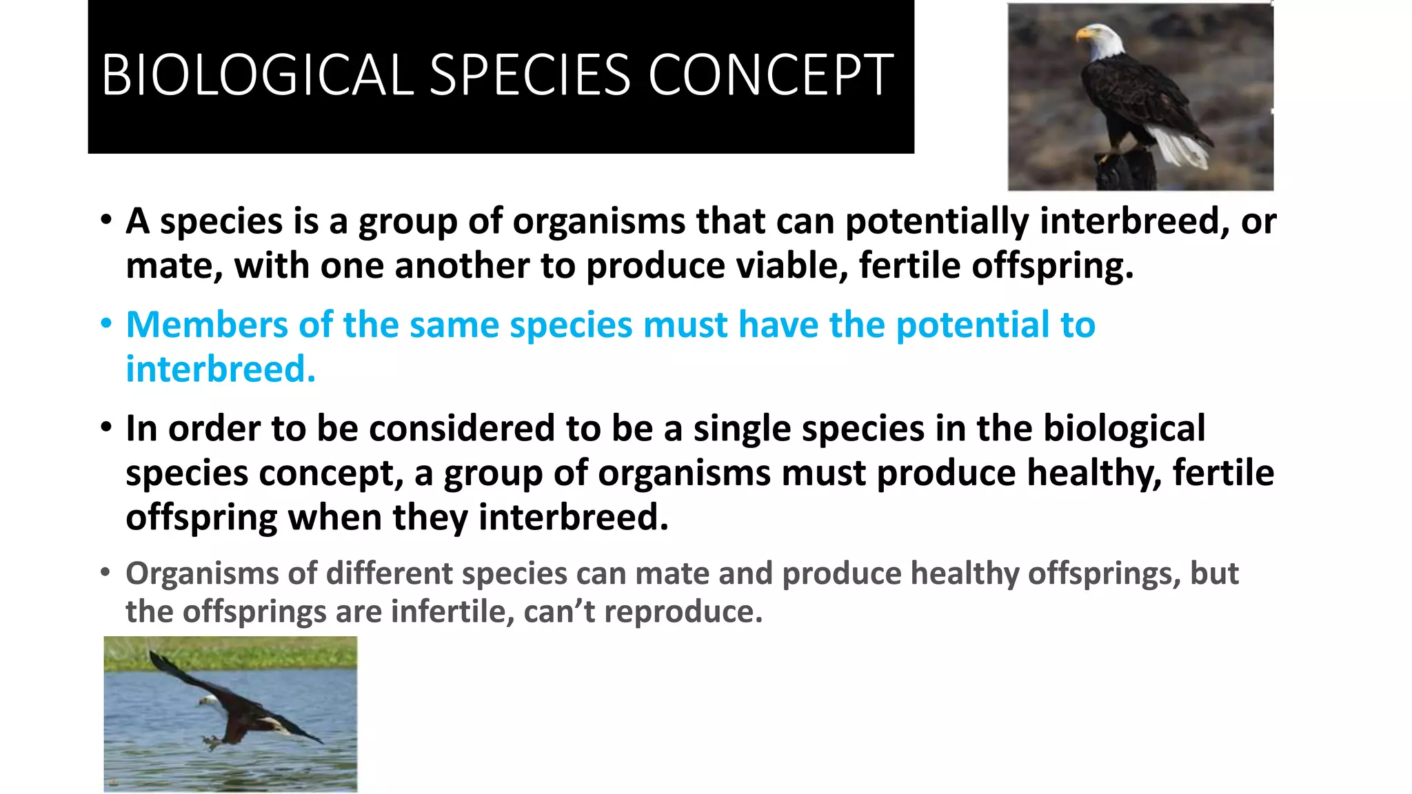 SPECIES-SPECIATION.pptx