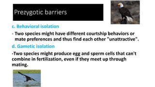 SPECIES-SPECIATION.pptx