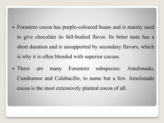 Species and cultivars of cacao | PPTX