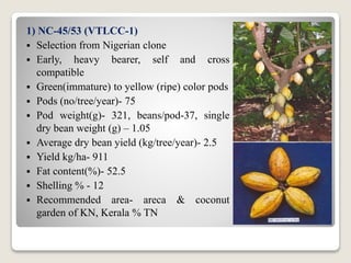 Species and cultivars of cacao | PPTX