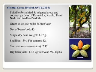 Species and cultivars of cacao | PPTX