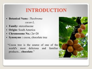 Species and cultivars of cacao | PPTX