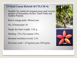 Species and cultivars of cacao | PPTX