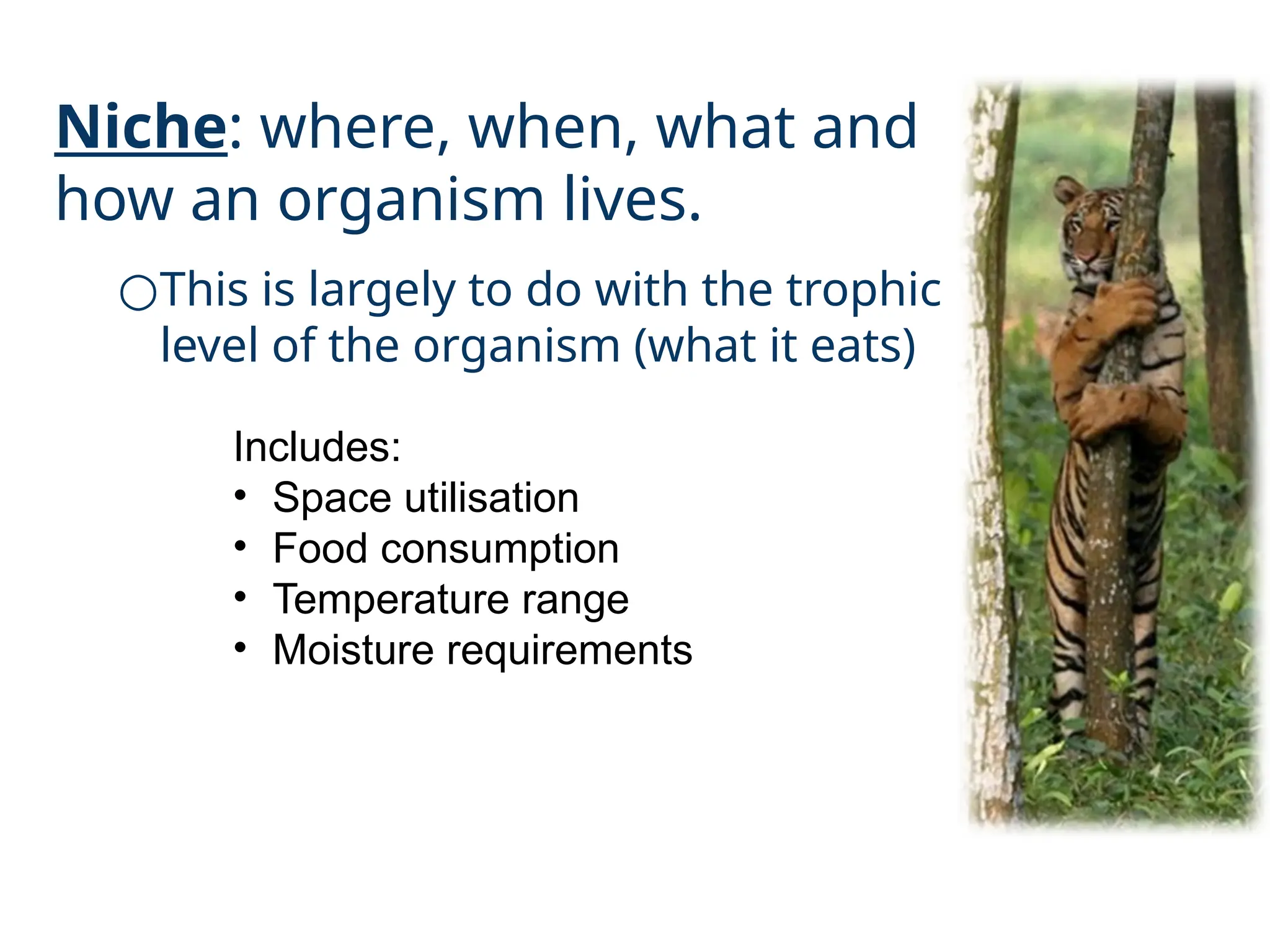 Species and Populations as an indicator of biodiversity.pptx