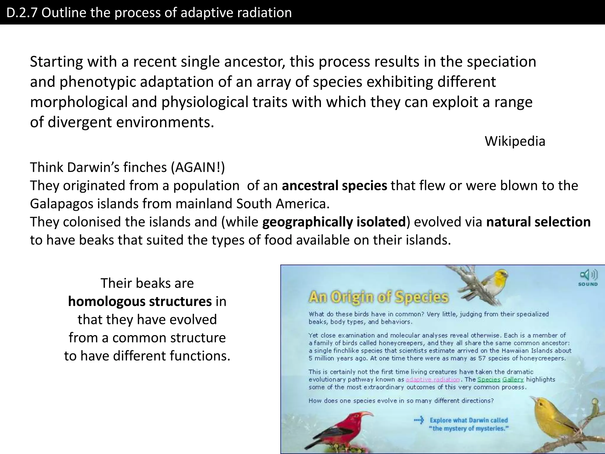 IB Biology Option D.2: Species and speciation | PPTX