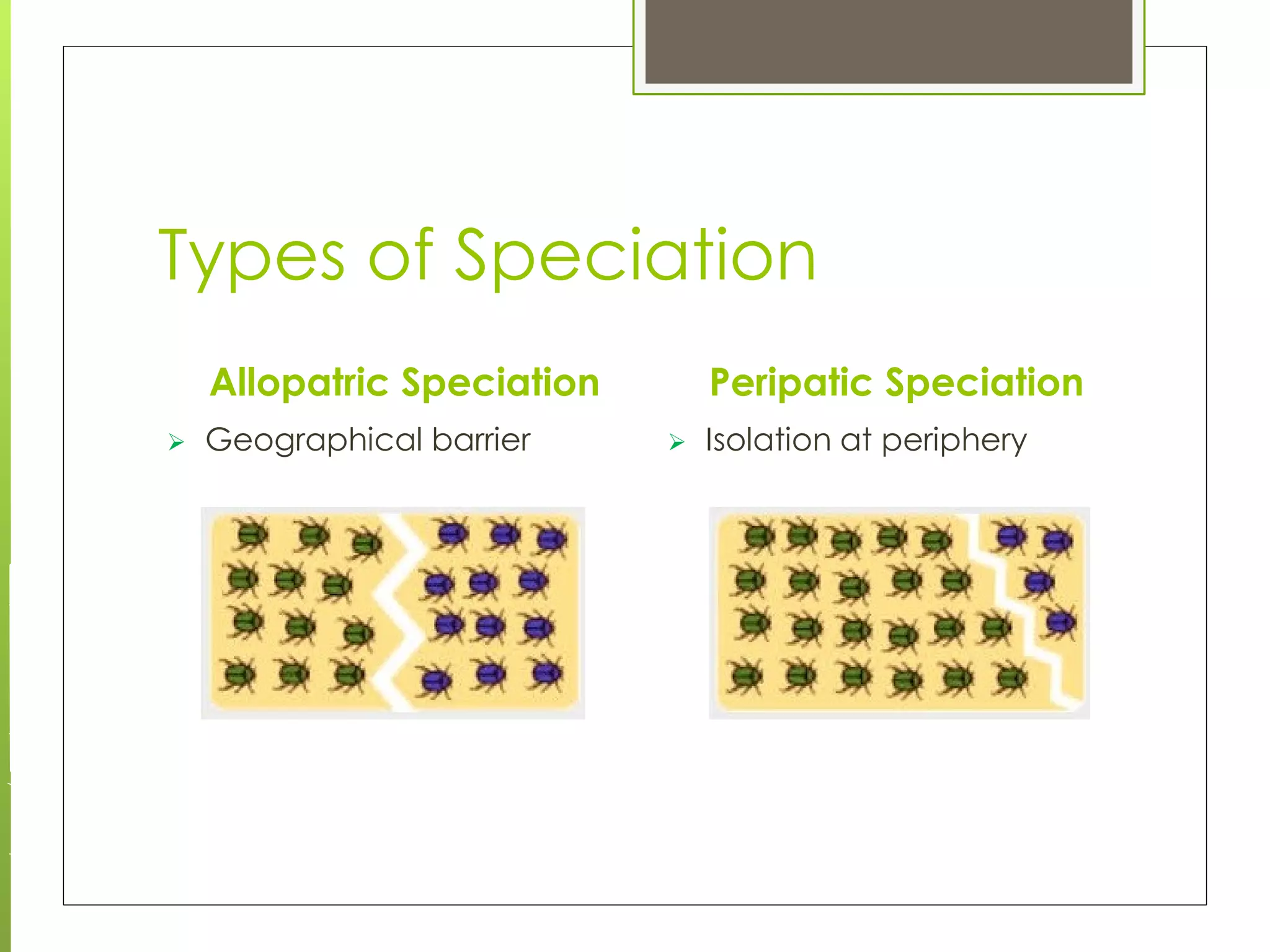 Species and speciation | PDF