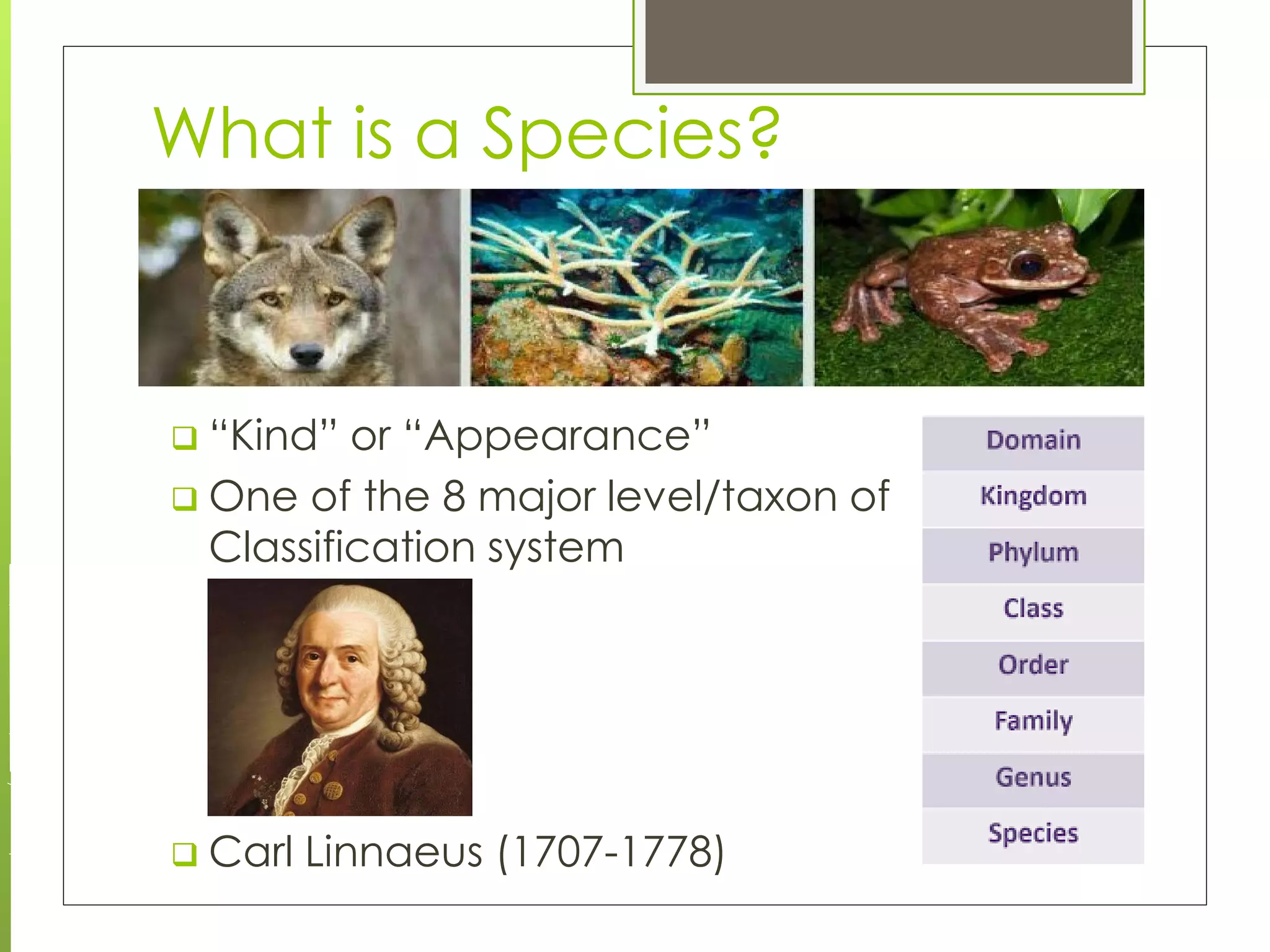 Species and speciation | PDF