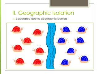 Species and speciation | PDF