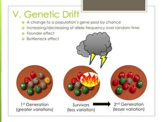 Species and speciation | PDF