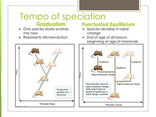Species and speciation | PDF