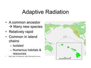 Species and Speciation Powerpoint 1407 revised.ppt
