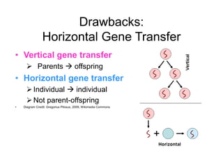 Species and Speciation Powerpoint 1407 revised.ppt