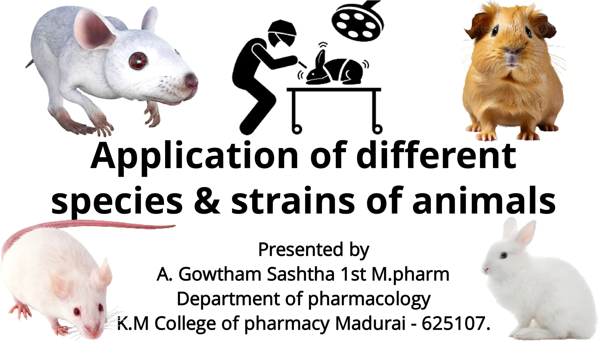 Different species & Strains of animals | PDF