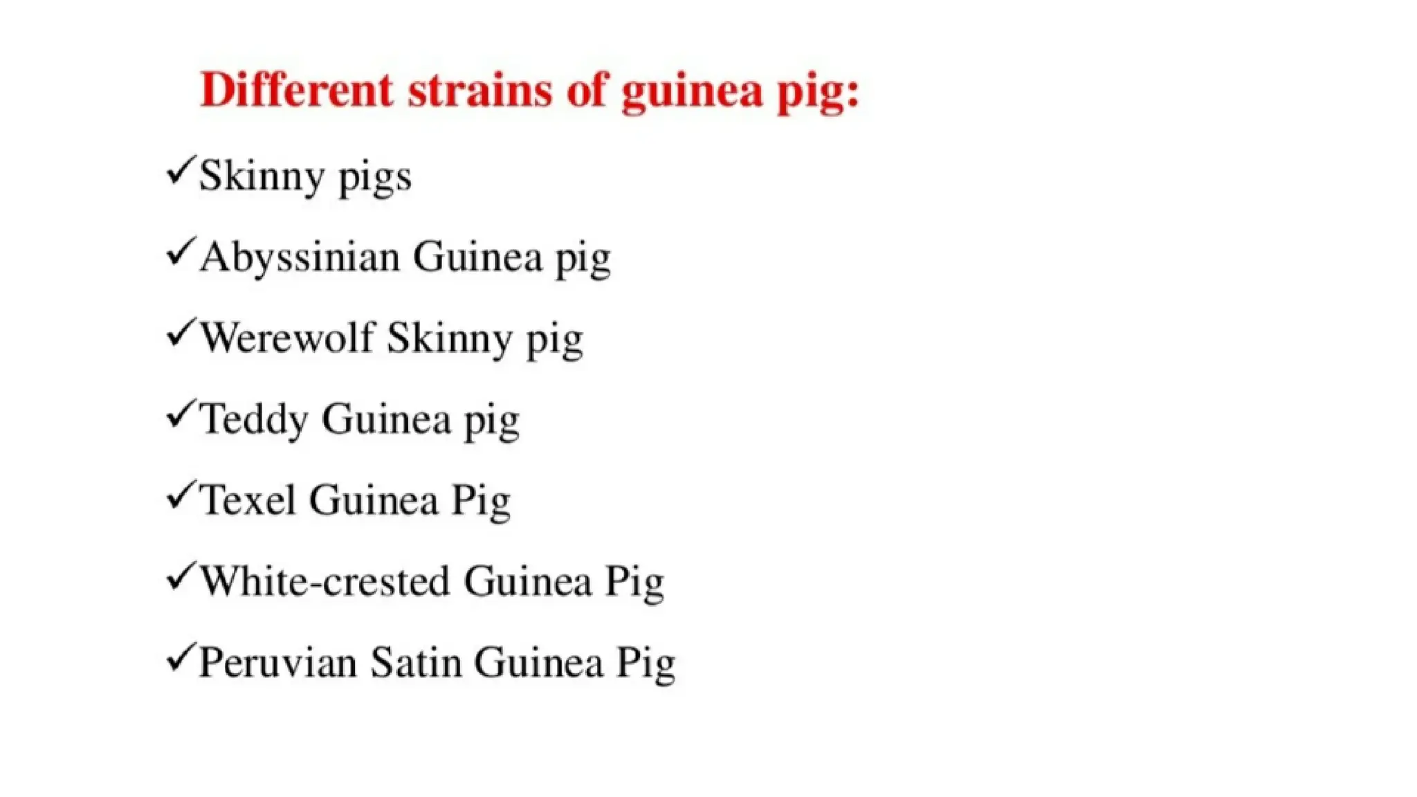 Different species & Strains of animals | PDF