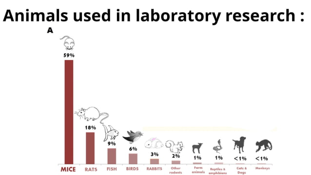 Different species & Strains of animals | PDF | Genetics | Science