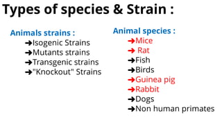 Different species & Strains of animals | PDF