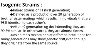 Different species & Strains of animals | PDF
