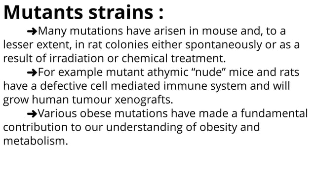 Different species & Strains of animals | PDF | Genetics | Science