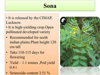 Species and varieties of coleus, cinchona, glory lily, pyrethrum and ...