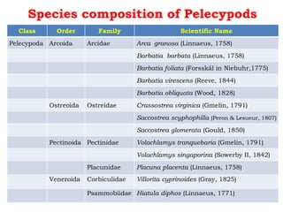 Species composition of Pelecypods & Cephalopods along Uran coast, Navi ...