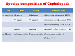 Species composition of Pelecypods & Cephalopods along Uran coast, Navi ...