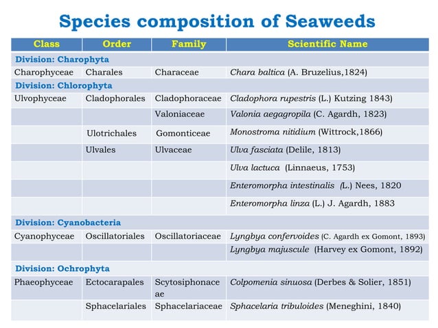 Species composition of Seaweeds at Uran, Navi Mumbai | PDF | Geography ...