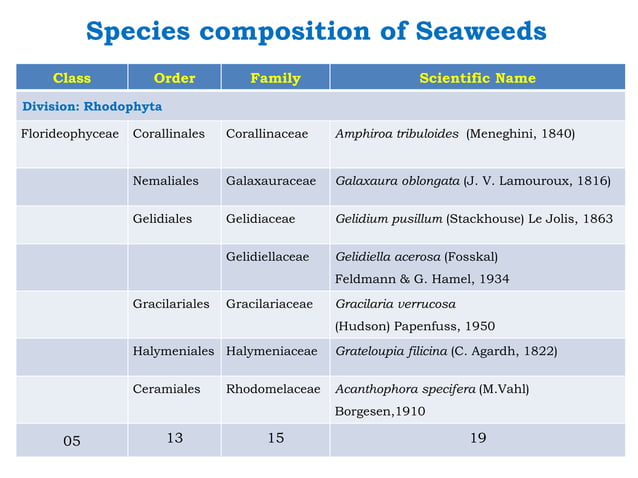 Species composition of Seaweeds at Uran, Navi Mumbai | PDF | Geography ...