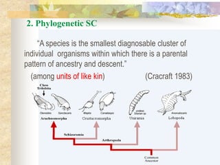Species concept | PPT