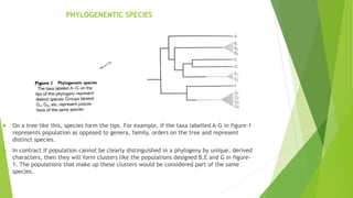 Species concept | PPTX