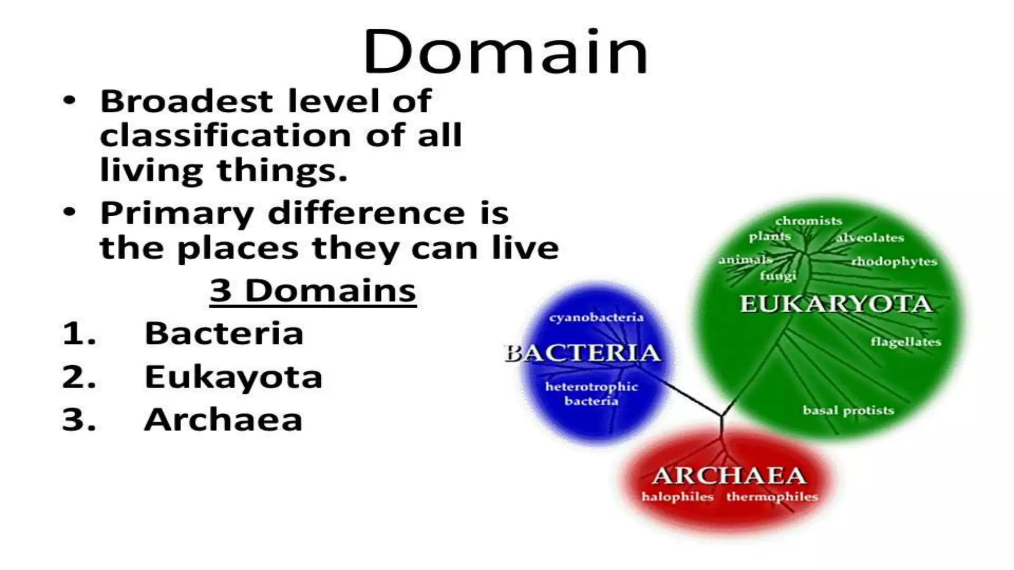 SPECIES CONCEPT & HIERARCHICAL TAXONOMIC CLASSIFICATION.pptx