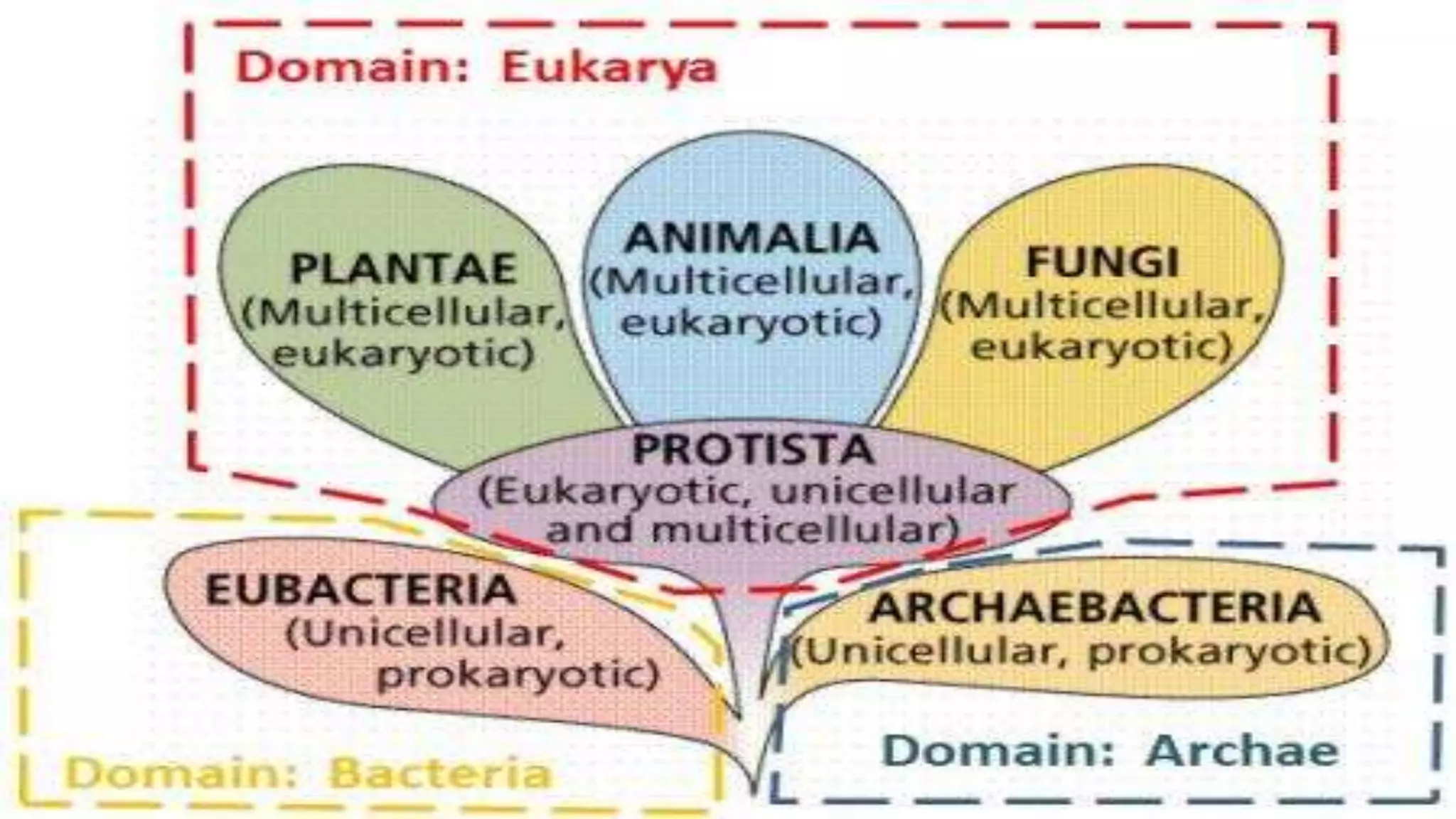 SPECIES CONCEPT & HIERARCHICAL TAXONOMIC CLASSIFICATION.pptx