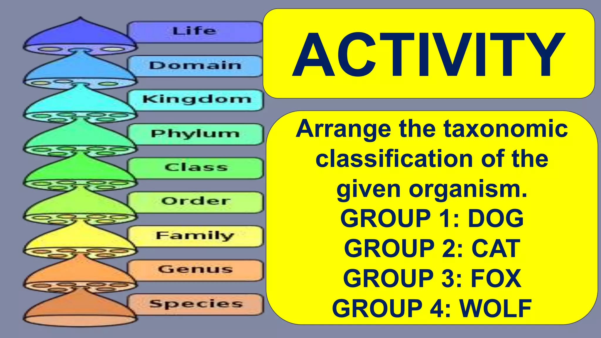 SPECIES CONCEPT & HIERARCHICAL TAXONOMIC CLASSIFICATION.pptx