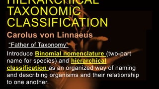 SPECIES CONCEPT & HIERARCHICAL TAXONOMIC CLASSIFICATION.pptx