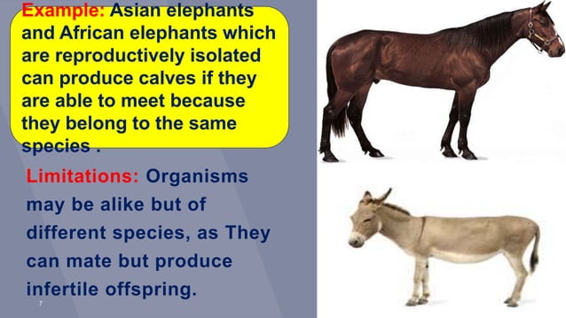 SPECIES CONCEPT & HIERARCHICAL TAXONOMIC CLASSIFICATION.pptx