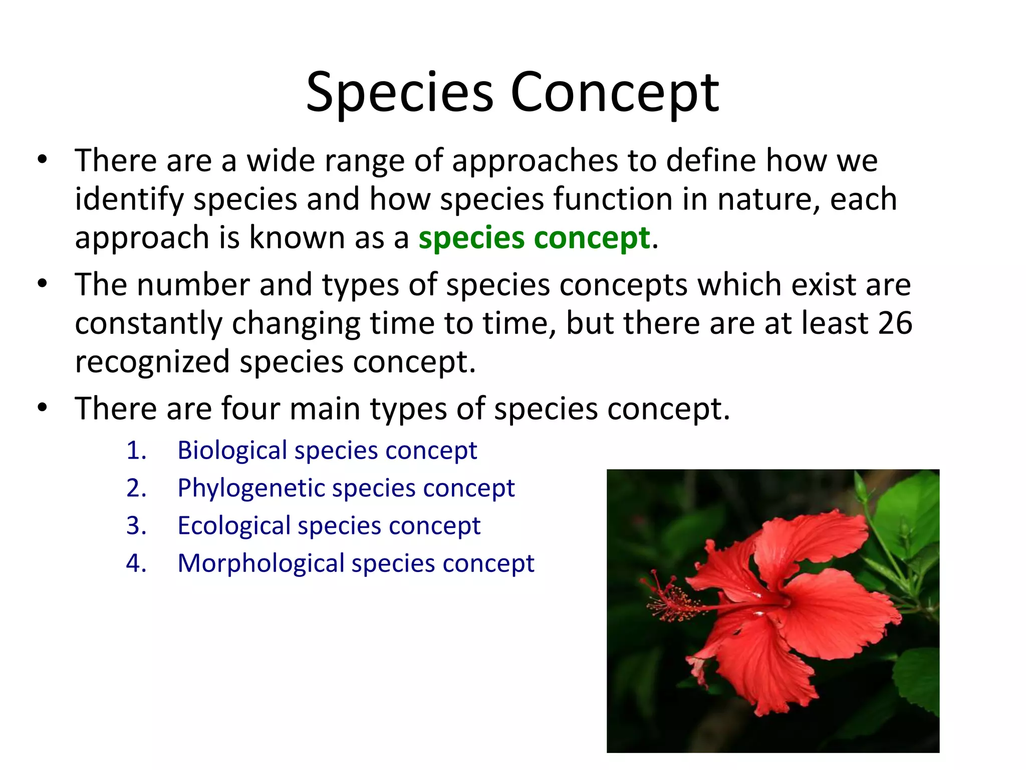 Species concept of prokaryotes | PPTX