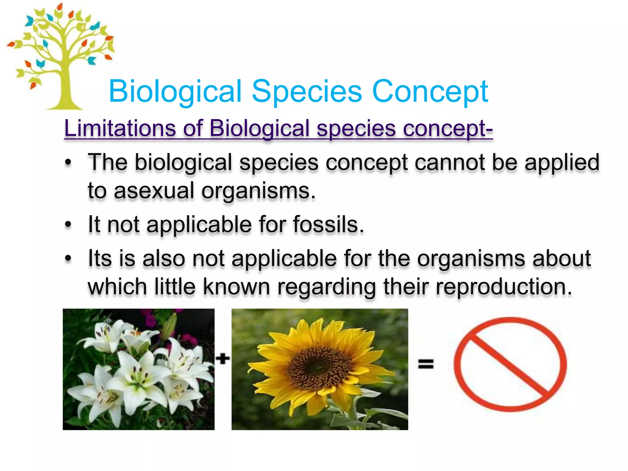 Species concept of prokaryotes | PPTX