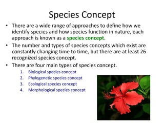 Species concept of prokaryotes | PPT