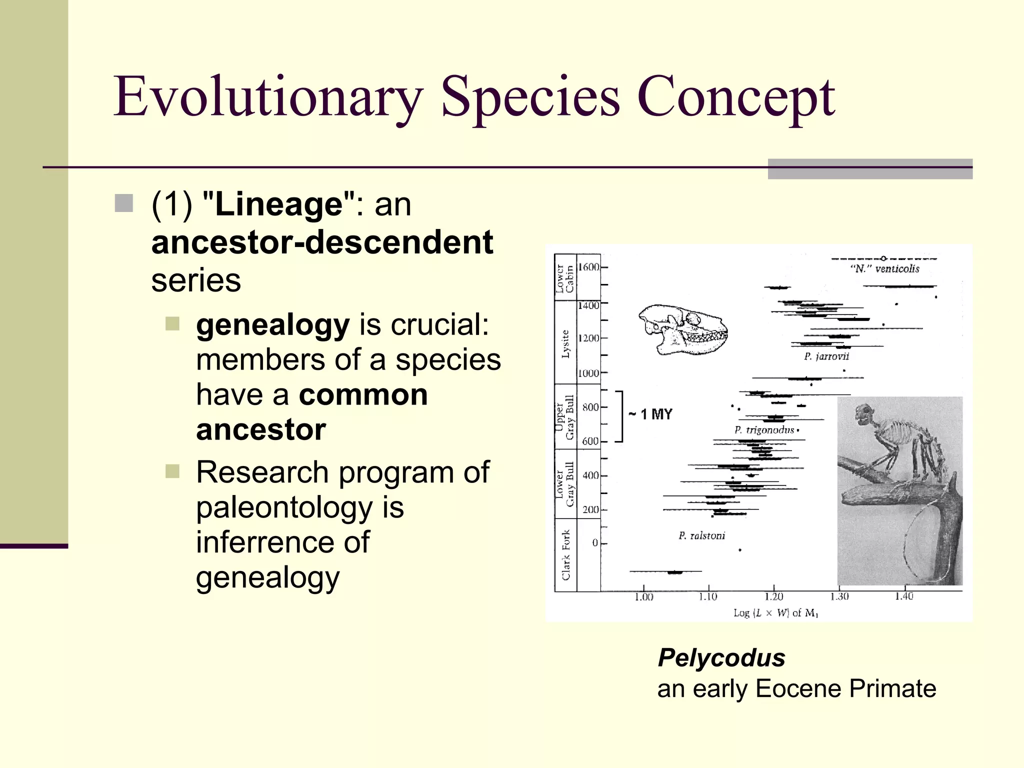 Species Concepts And Speciation | PPT