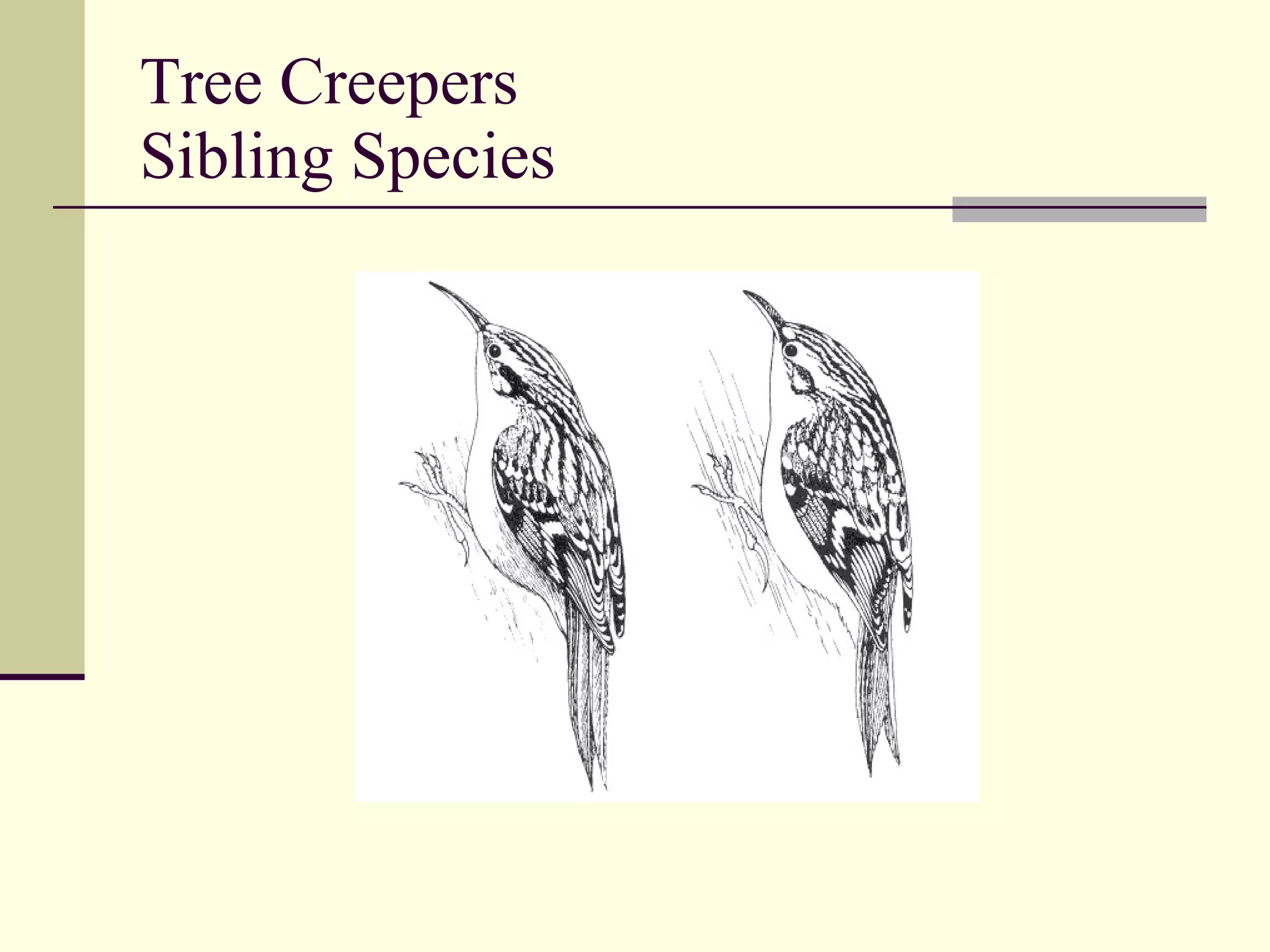 Species Concepts And Speciation | PPT