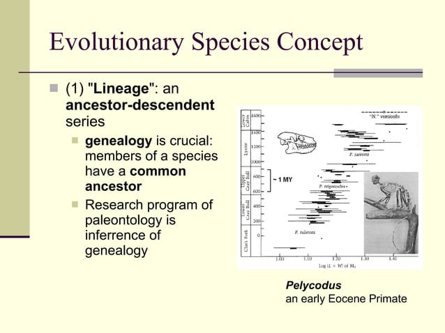 Species Concepts And Speciation | PPT