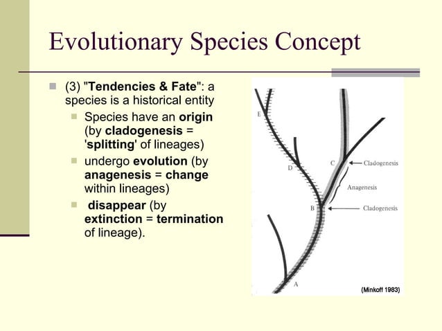 Species Concepts And Speciation | PPT