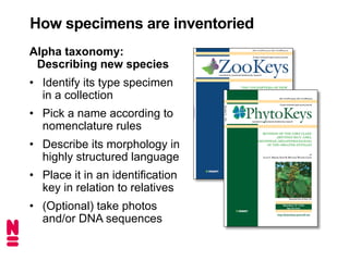 Species delimitation - species limits and character evolution | PPT
