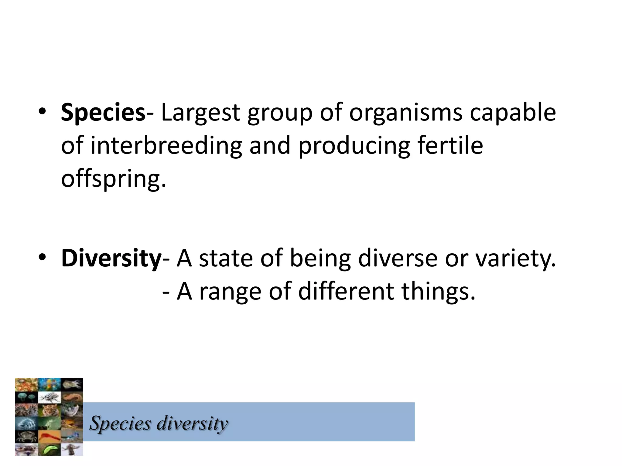 Species diversity | PPTX